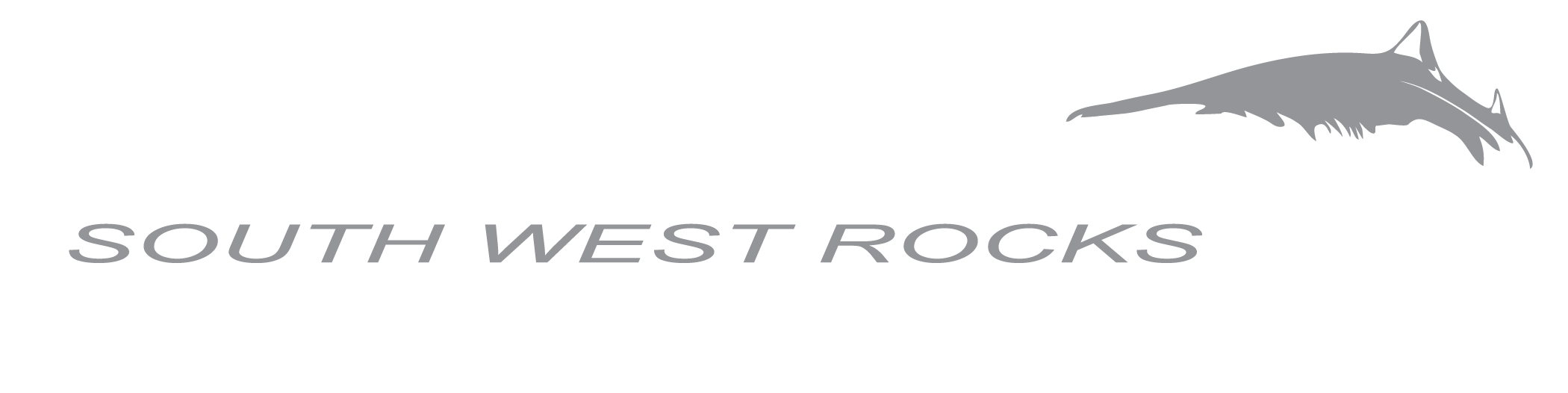 Dive Fish Rock Cave - South West Rocks Dive Centre - Grey Nurse Sharks