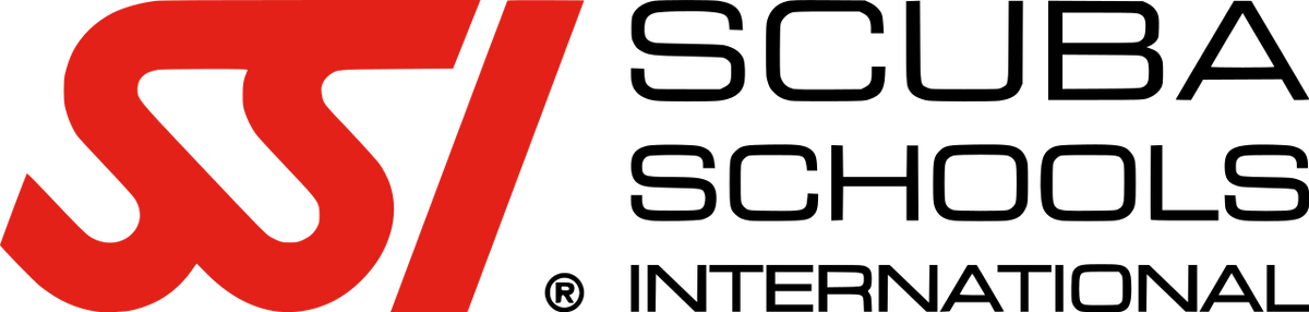 Dive Fish Rock Cave - South West Rocks Dive Centre - Grey Nurse Sharks