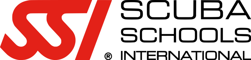 Dive Fish Rock Cave - South West Rocks Dive Centre - Grey Nurse Sharks